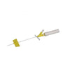 24g 3/4 inch BD Saf-T-Intima Safety IV Catheter System with Y Adapter ...